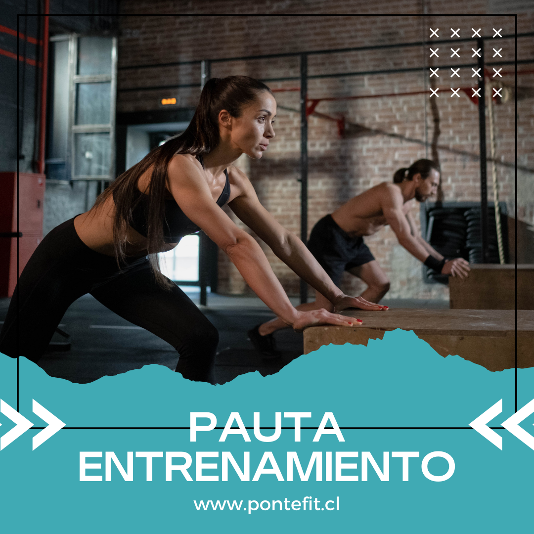 Pauta de entrenamiento – Ponte Fit